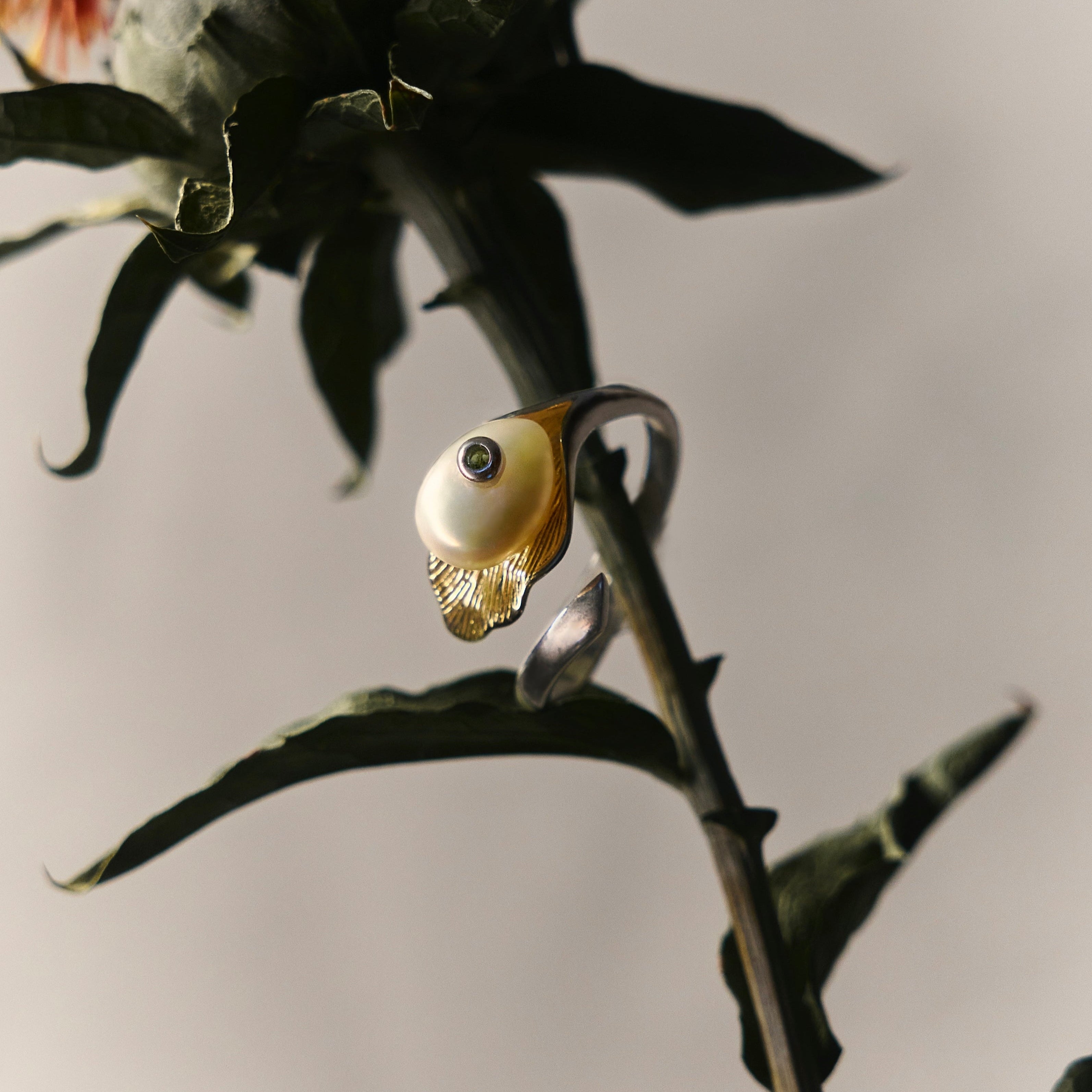 Shibui The Ring – MYOJU